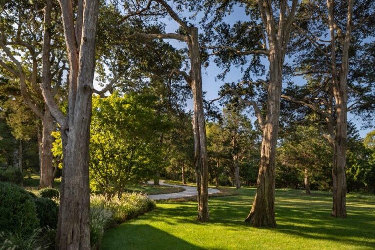 Preserving Natural Elements Cedar Crest Landscape Design - Archsnaps